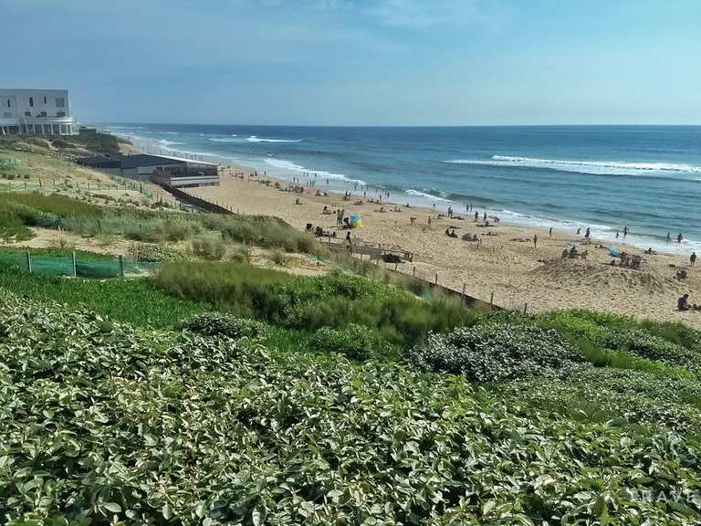 Dune du Pilat et plage de Biscarosse - tour de l'Étang de Cazaux et de ...