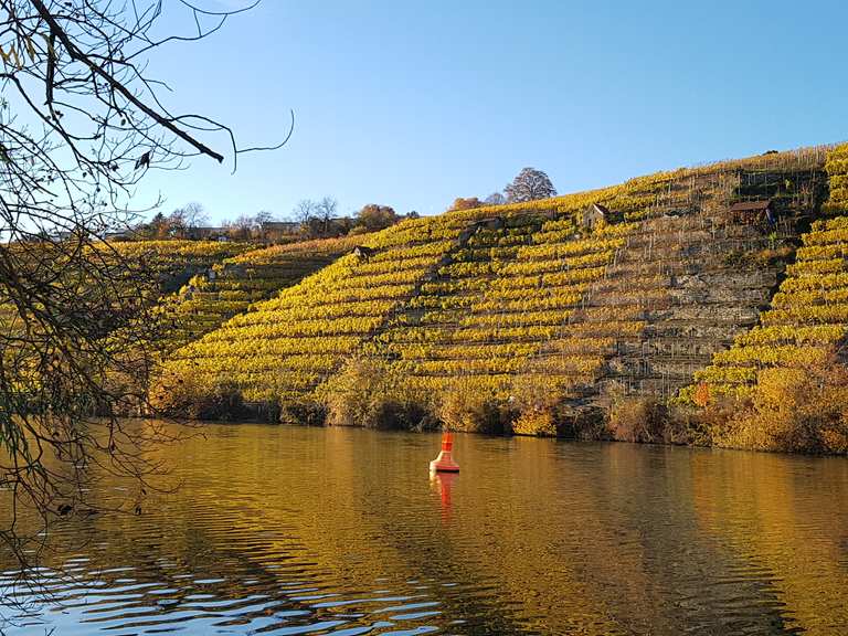 Max-Eyth-See Routes for Walking and Hiking | Komoot