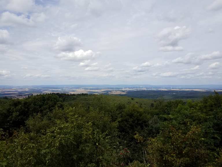 Donnersberg - Dannenfels, Donnersbergkreis | Wandertipps & Fotos | Komoot