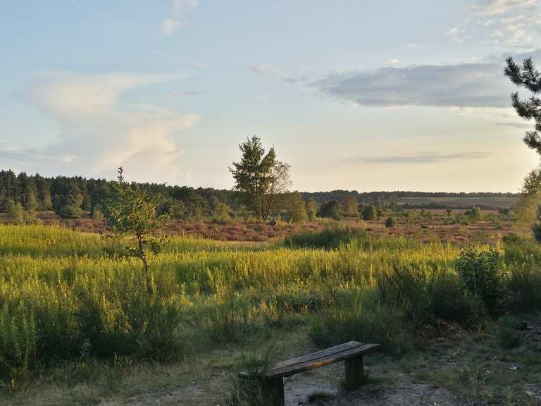 Behringer Heide – Zur schönen Aussicht Runde von Niederhaverbeck ...