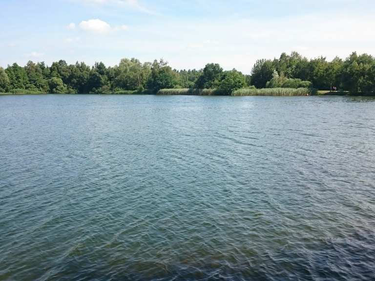 Het Rutbeek: Rennradfahren und Rennradtouren | komoot