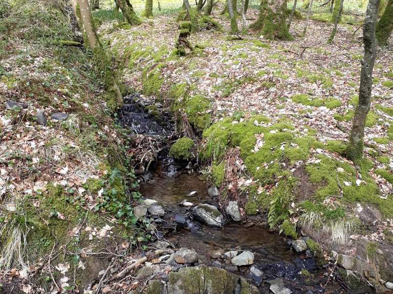 Views across Slieve Bloom Mountain Range Routes for Walking and Hiking ...