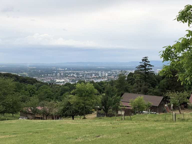 Schönberg Gipfel – Ausblick auf Schneeburg Runde von Vauban | Wanderung ...