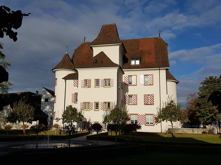 Schloss Aesch Routes for Walking and Hiking | Komoot