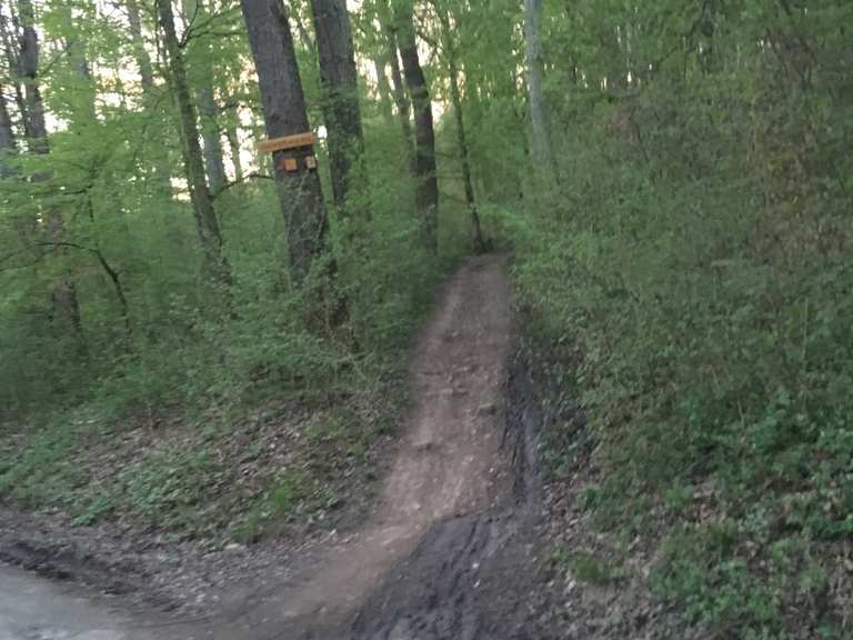 Indiana Jones Trail Mountain Bike Trails & Tracks | Komoot