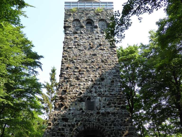 Taufstein: Wanderungen und Rundwege | komoot