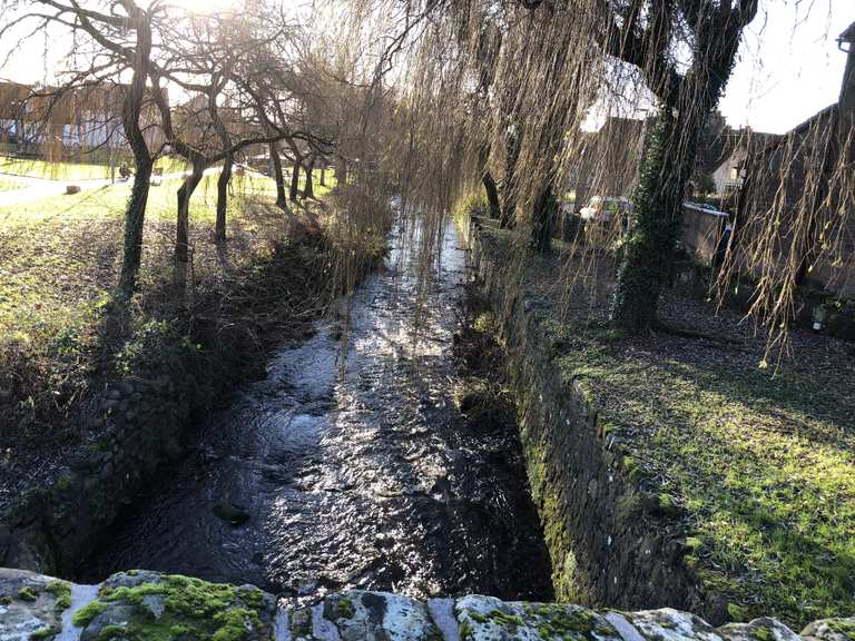 Menstrie Wood, Hillfoots Central Scotland - Cycle Routes and Map | Komoot