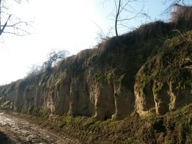 Hohlwege In Und Um Alsheim Routes For Walking And Hiking Komoot