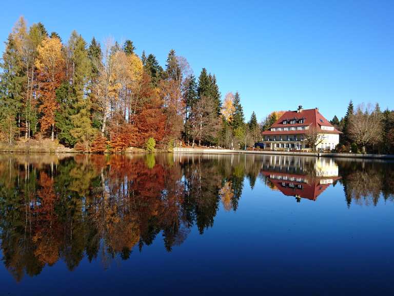 Waldsee bei Lindenberg Routes for Walking and Hiking | Komoot