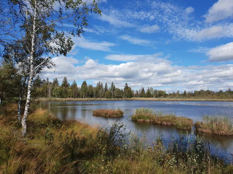 Riedsee Routes for Walking and Hiking | Komoot