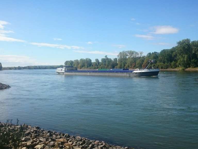 Rheinblick Trebur Steindamm - Cycle Routes and Map | Komoot