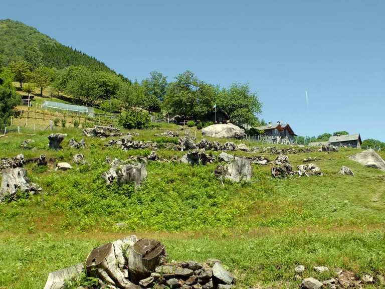 Alpe Marcalone Routes for Walking and Hiking | Komoot