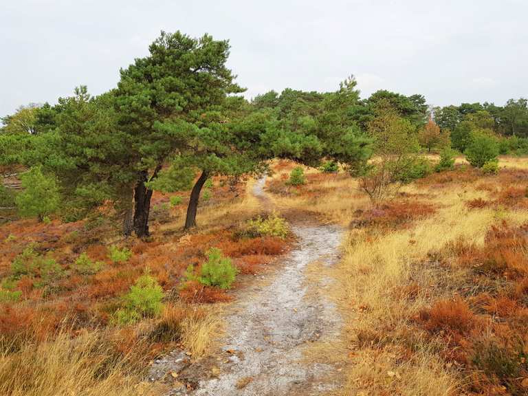 Brunssummerheide wandelroutes en hikes | Komoot