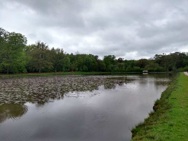 Cow Pond Routes for Walking and Hiking | Komoot