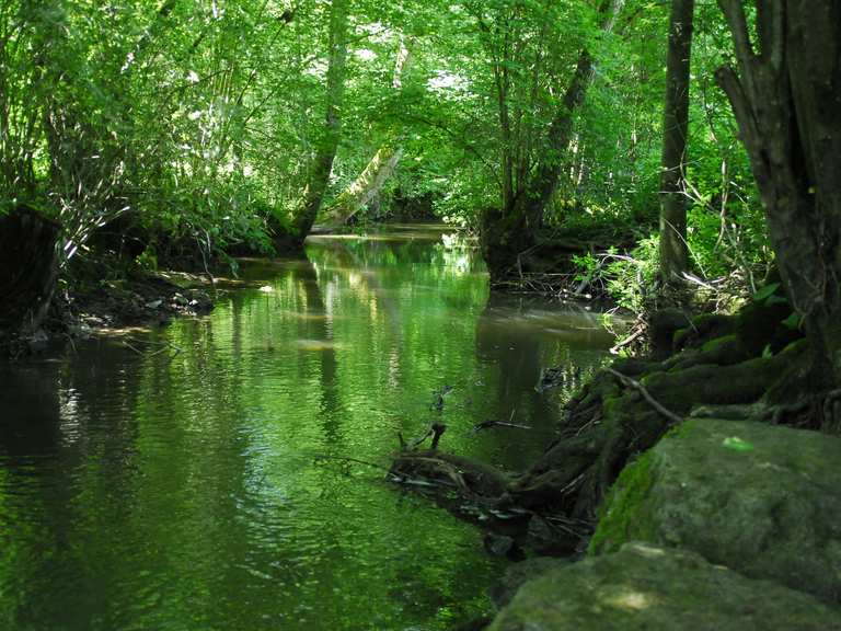 Buchenbachtal: Wanderungen und Rundwege | komoot