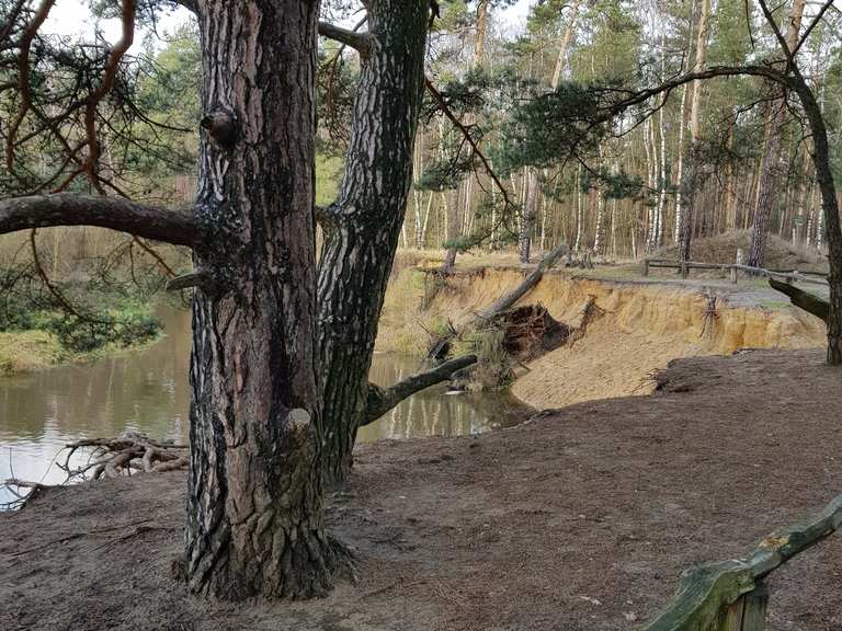 Lutterzand wandelroutes en hikes | Komoot