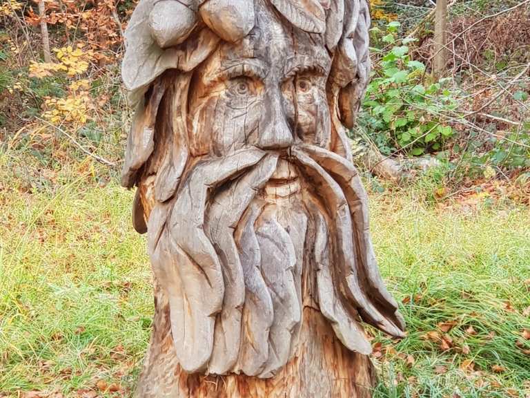 Waldgeist - Holzfiguren: Wanderungen und Rundwege | komoot