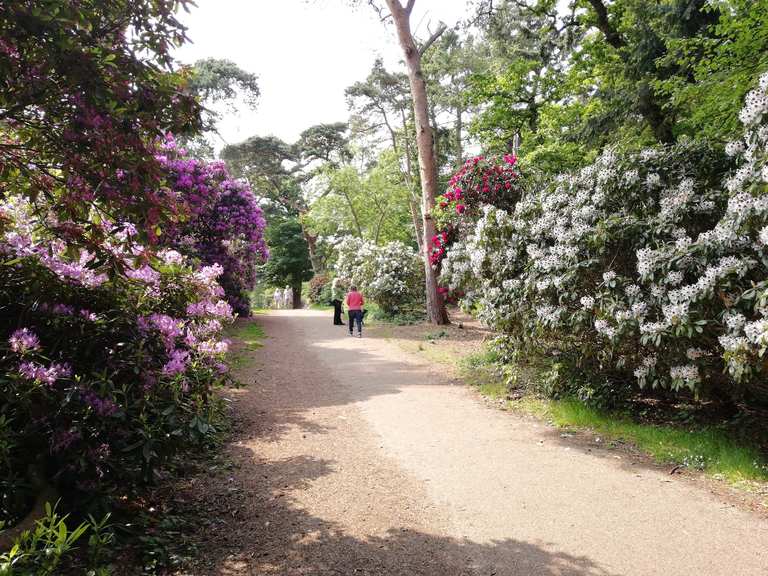 Sheringham Park Routes for Walking and Hiking | Komoot