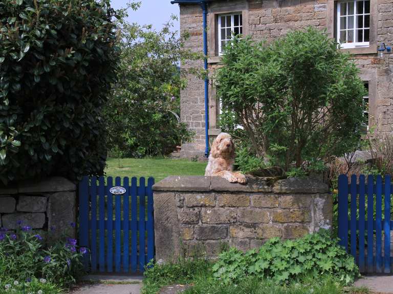 Beeley loop via Beeley Moor — Peak District National Park | hike | Komoot