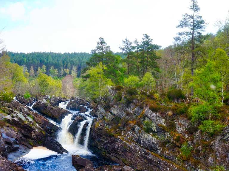 Rogie Falls – Hängebrücke Rogie Falls loop from Contin | hike | Komoot