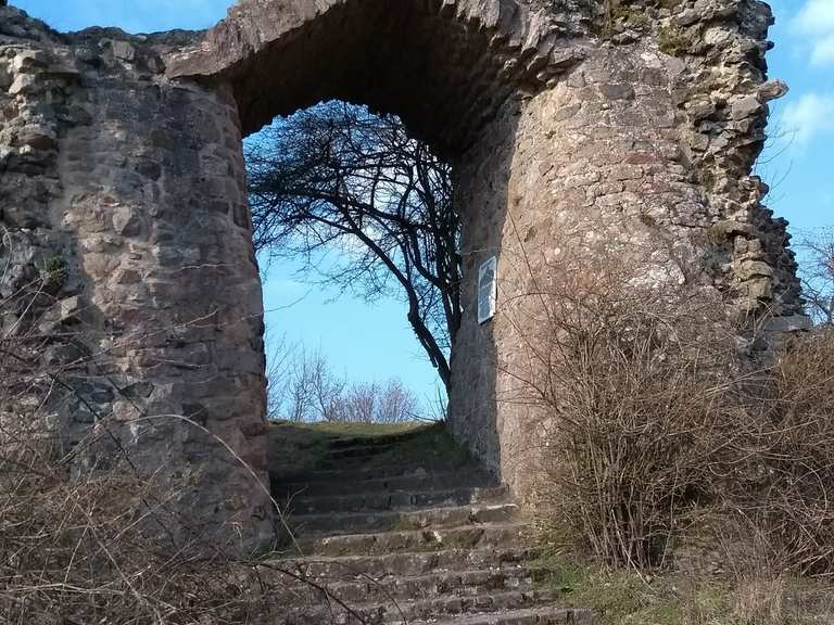 Frauenberg - Burgruine Routes for Walking and Hiking | Komoot