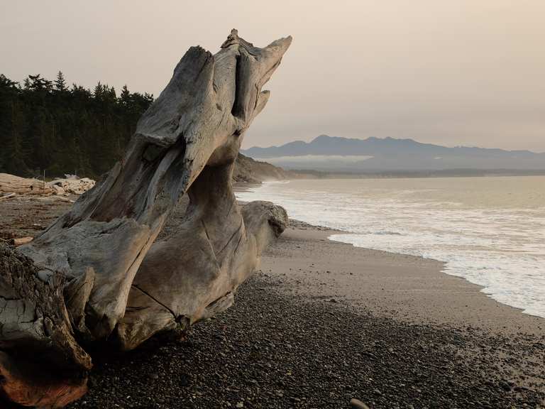 Dungeness Spit via Primitive Trail Loop - Dungeness National Wildlife ...