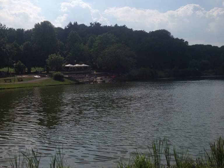 Elsenz See - Mountain Bike Trails & Tracks | Komoot