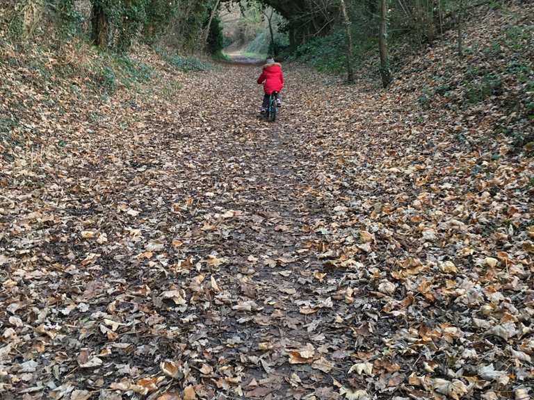 Cole Green Way Cycle Routes and Map | Komoot