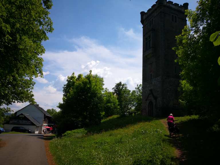 Domberg mit Bismarckturm: Wanderungen und Rundwege | komoot
