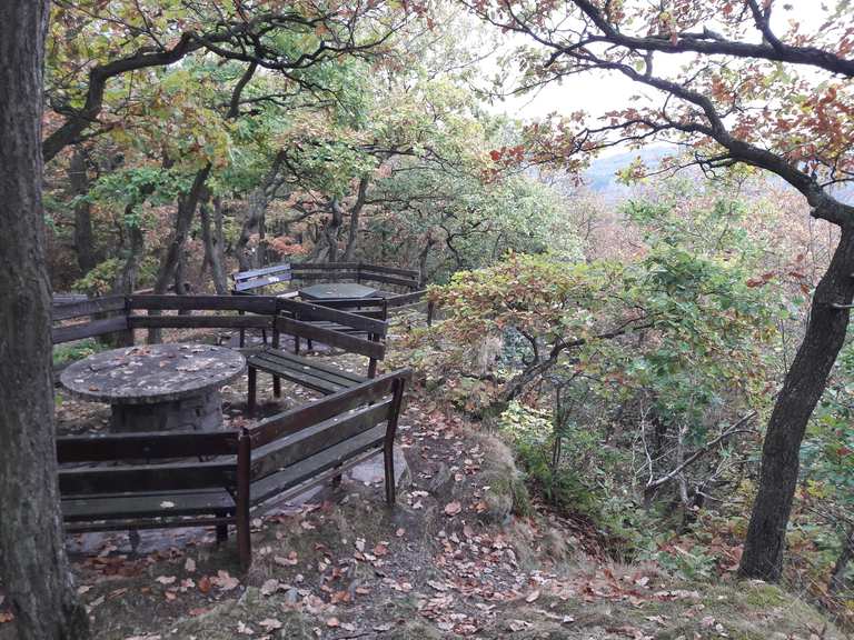 Krausberg/Krausbergturm: Mountainbike-Touren und -Trails | komoot