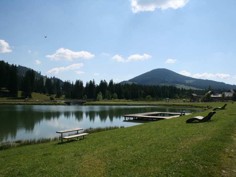 Teichalmsee: Wanderungen und Rundwege | komoot