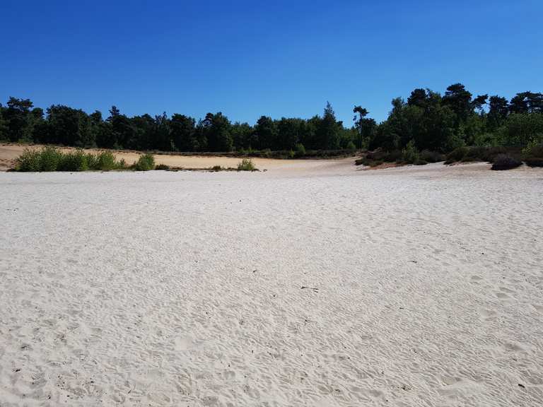 Maasduinen Reindersmeer wandelroutes en hikes | Komoot