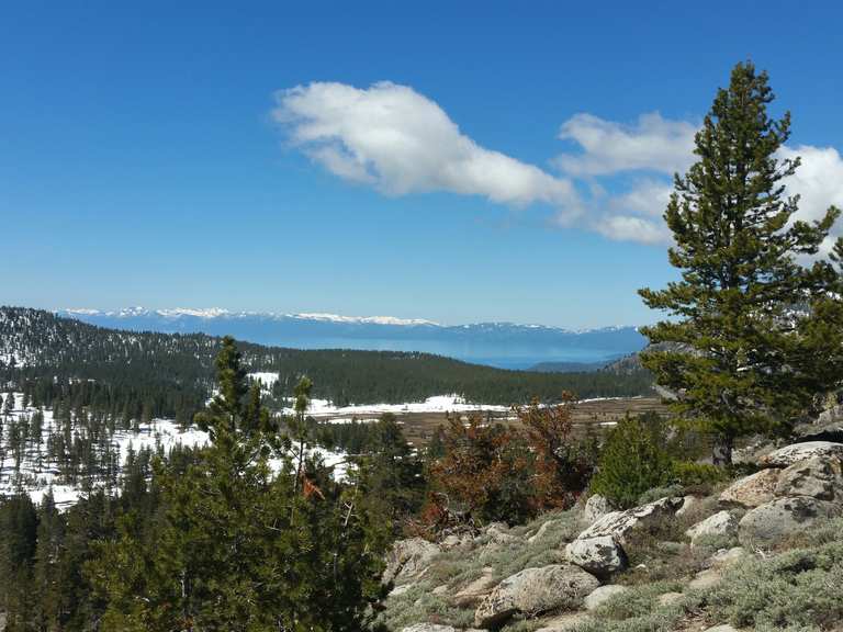 Tamarack Peak loop via Tahoe Rim Trail & Galena Creek Falls — Mount ...