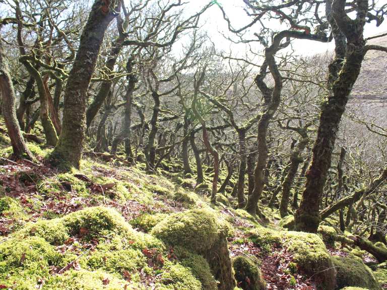 Piles Copse Routes for Walking and Hiking | Komoot