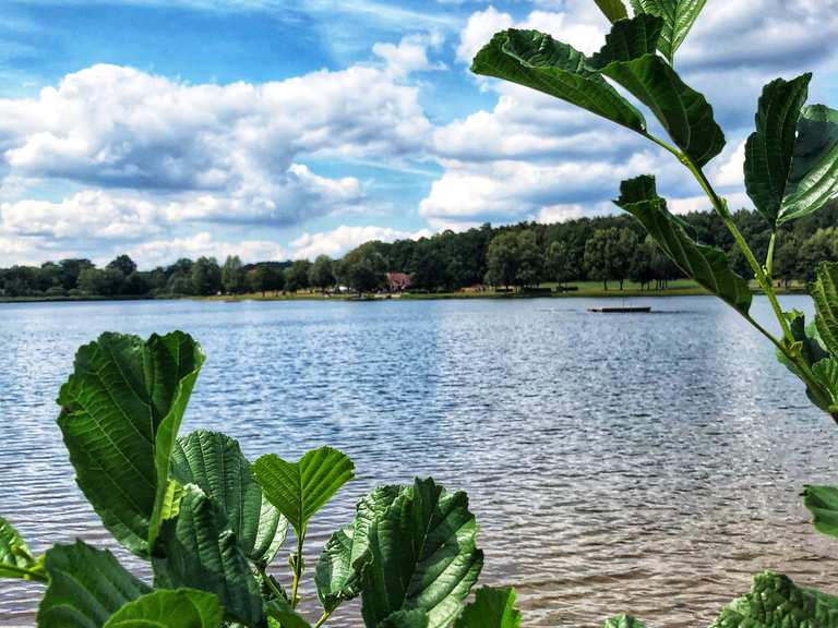 Strandhaus Grashof am Rothsee - Itinéraires de rando et marche | Komoot