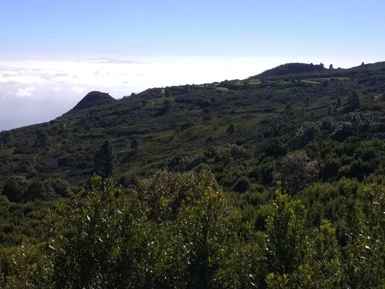 Fayal-Brezal - Routes for Walking and Hiking | Komoot