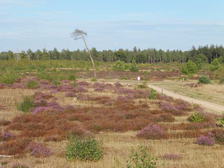 Strabrechtse Heide & Beuven fietsroutes en kaart | Komoot