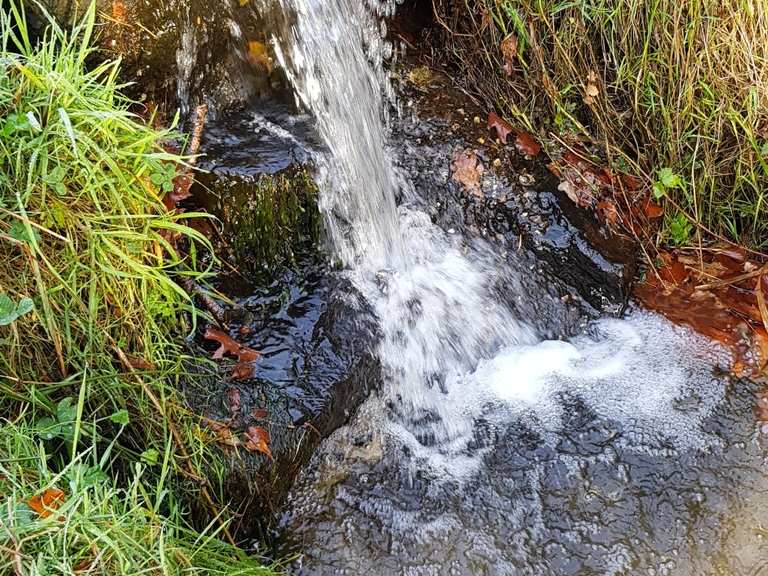 De Bronnen in het Springendal wandelroutes en hikes | Komoot
