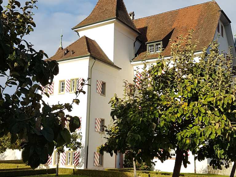 Schloss Aesch Routes for Walking and Hiking | Komoot