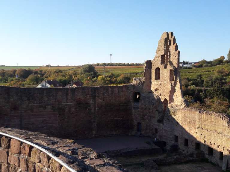Burg Neuleiningen mit Museum im Burgturm: Wanderungen und Rundwege | komoot