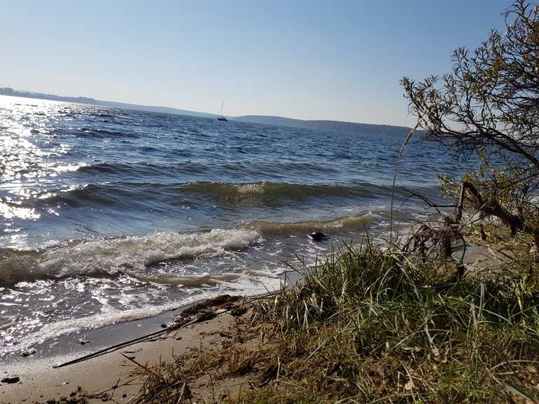 Südlicher Priwall: Wanderungen und Rundwege | komoot