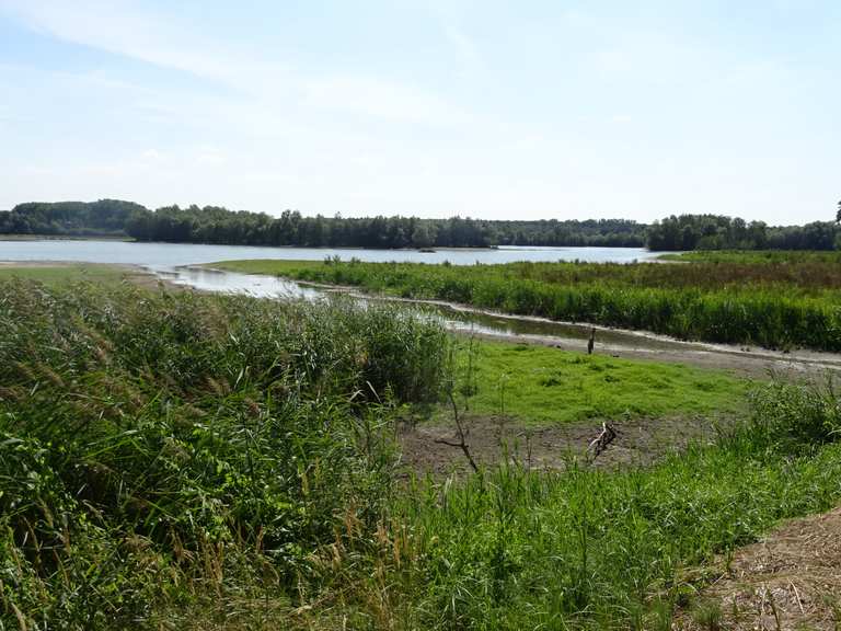 Aussichtspunkt Ilkerbruch Nord-West (Station 5): Wanderungen und ...
