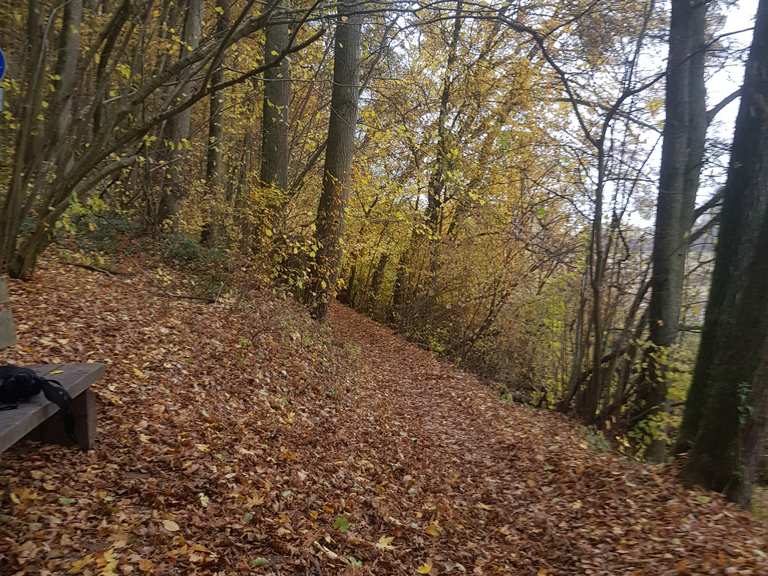 Enger Weg am Abgrund: Mountainbike-Touren | komoot