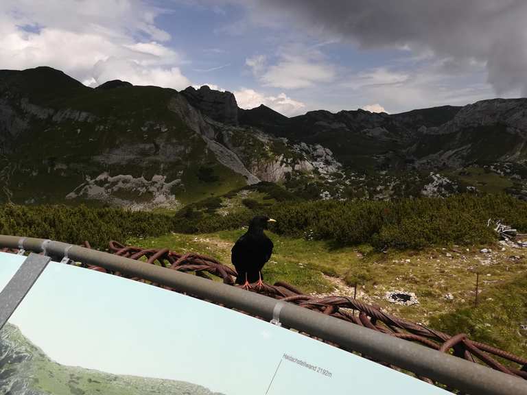 Adlernest Routes for Walking and Hiking | Komoot