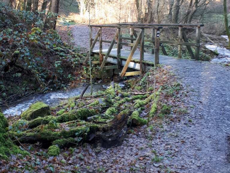 Sengbachtalsperre – Blick Richtung Glüder Runde von Dorperhof ...
