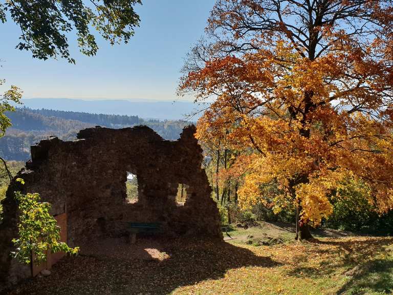 Burg Liebenstein: Wanderungen und Rundwege | komoot