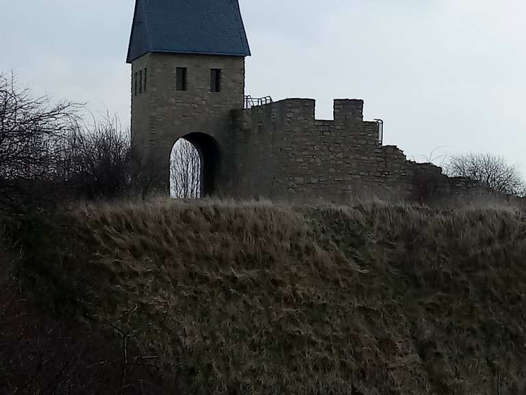 Kaiserpfalz Werla Routes for Walking and Hiking | Komoot