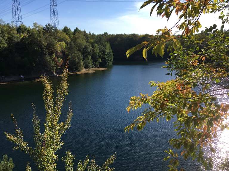 Vogelsberger See, Canyon-Brücke: Wanderungen und Rundwege | komoot