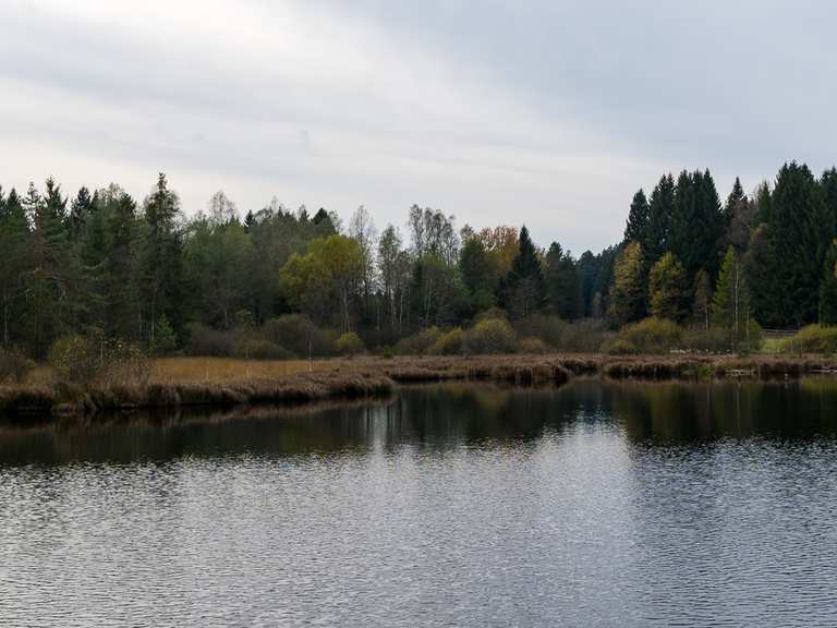 Waldsee bei Lindenberg - Lindenberg im Allgäu, Lindau (Bodensee ...