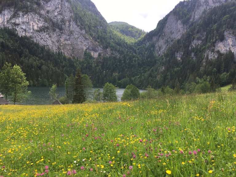 Gleinkersee: Wanderungen und Rundwege | komoot